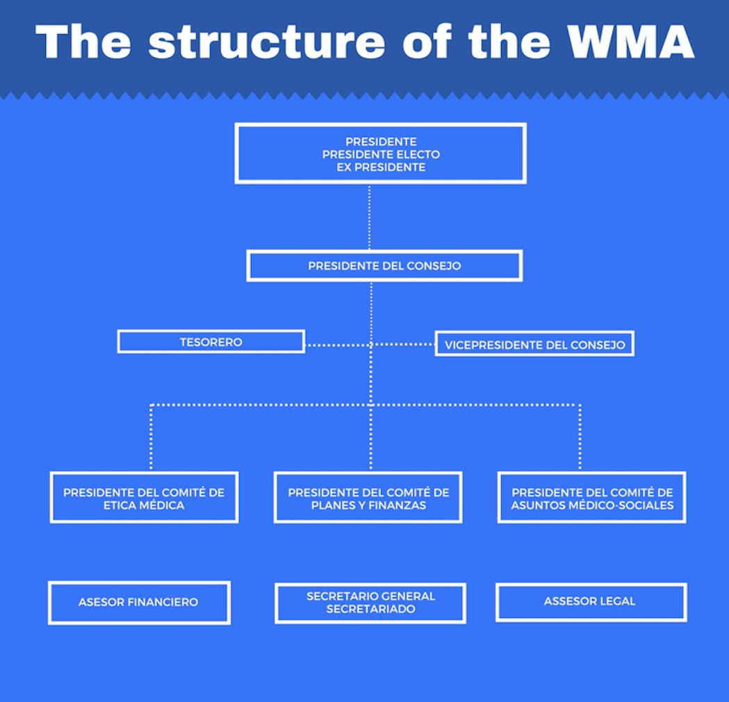 Estructura Amm Wma The World Medical Association